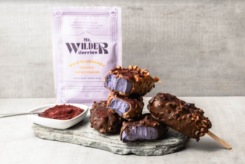 Frozen Blueberry Chocolate Magnum Recipe | Mt. Wilder Berries